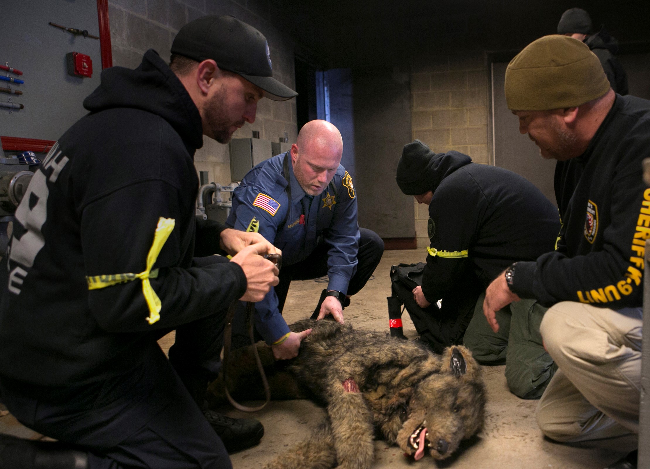 Morris Police K-9s to Get On-Site Emergency Medical Care – Morris ...